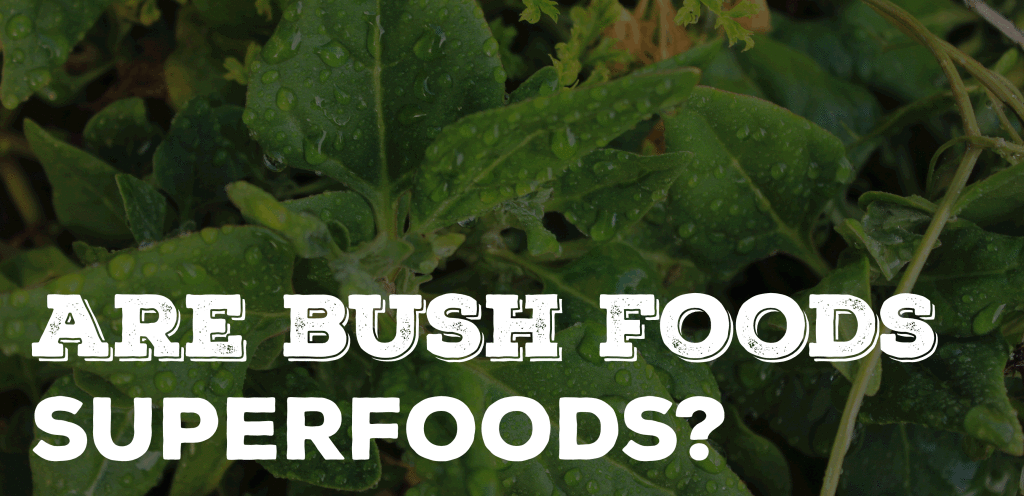 Are Bush Foods Superfoods? - Peppermint Ridge Farm