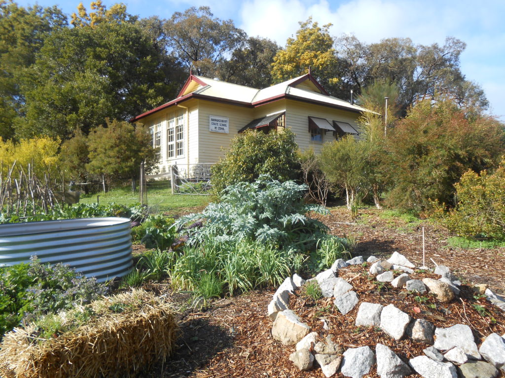 History of Peppermint Ridge Farm - Peppermint Ridge Farm